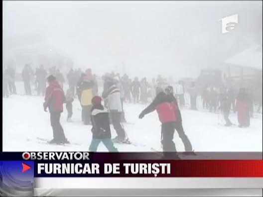 Furnicar de turisti | Antena 1