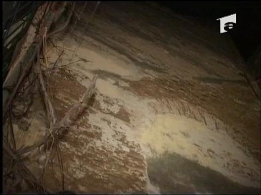 Viscol si troiene in martie | Observatornews.ro