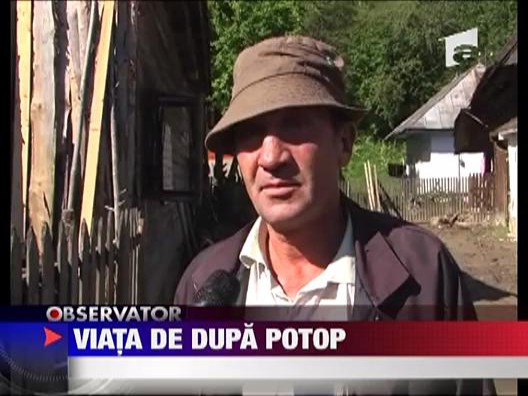 Viata dupa potop | Observatornews.ro