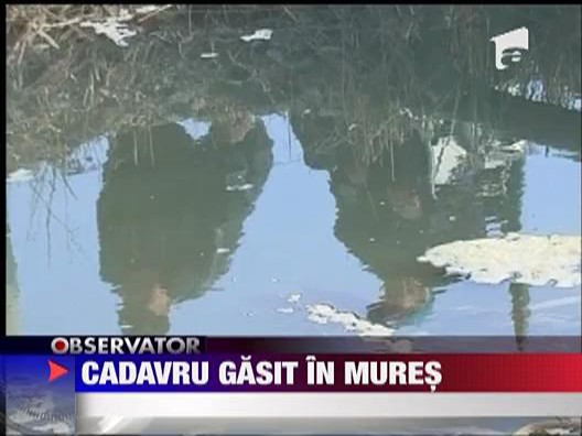 Cadavru gasit in Mures | Observatornews.ro