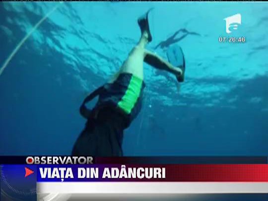 S-a lansat Freediving Romania | Observator News