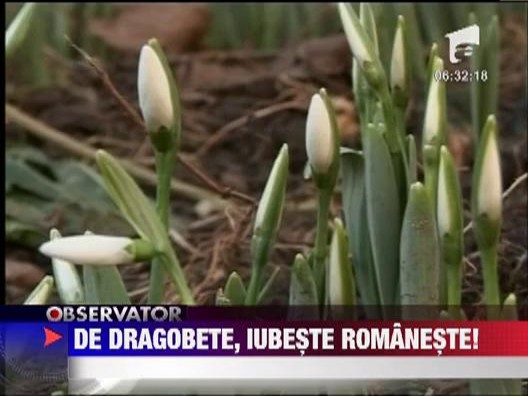 Cea mai lunga scrisoare de dragoste din lume | Observatornews.ro