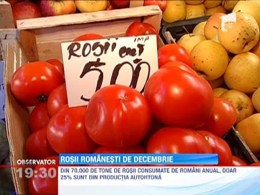 Ultima productie de rosii romanesti | Observatornews.ro