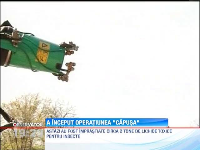 UPDATE! In Capitala, a inceput vanatoarea de capuse | Observatornews.ro