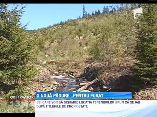 Defrisarile in Harghita, un obicei | Observatornews.ro