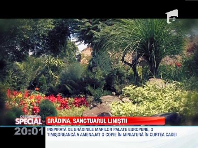 SPECIAL! O timisoreanca si-a construit o gradina inspirata de cele de ...