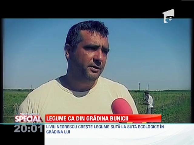 SPECIAL! Legume ca in gradina bunicii, cu abonament anual ...