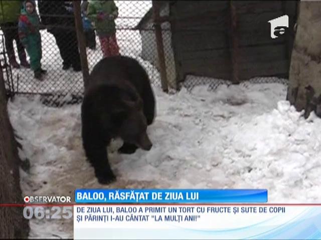 Ursul Baloo, serbat la baza pârtiei din Straja | Observator News