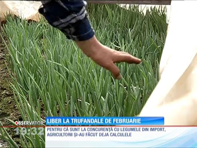 Primele legume românești au apărut pe tarabe | Observatornews.ro