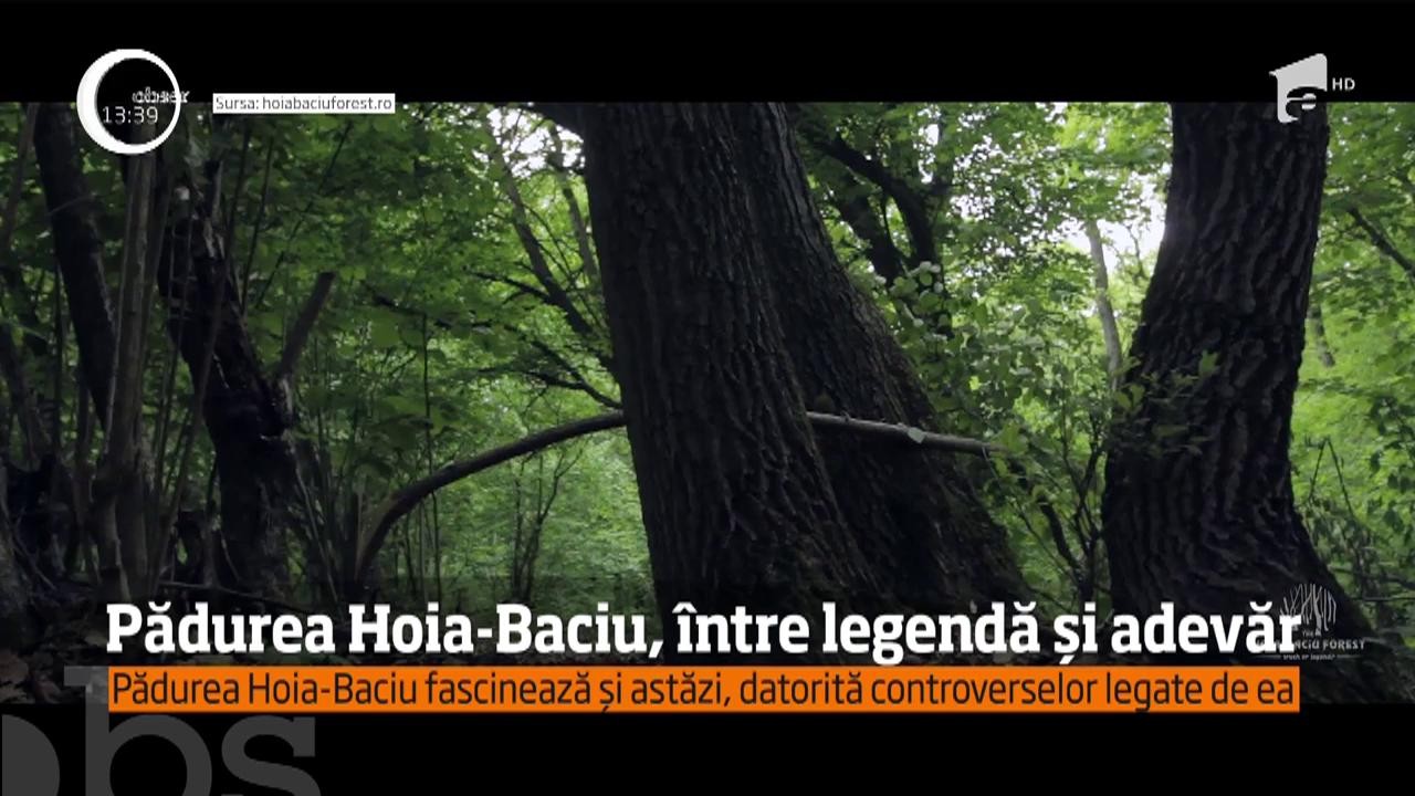 Primul documentar despre Pădurea Hoia-Baciu a fost realizat în Cluj ...