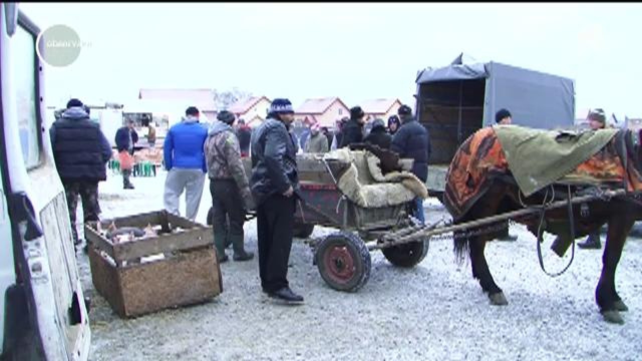 Trocul salvează masa de Crăciun!