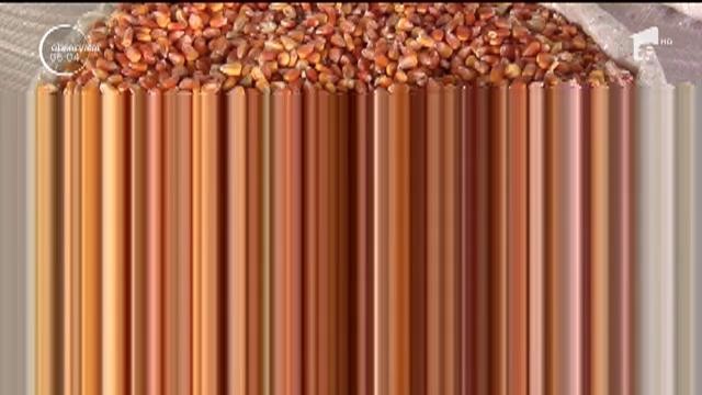 Moarte îngrozitoare la Tecuci! Un băieţel de nici 2 ani s-a înecat cu ...