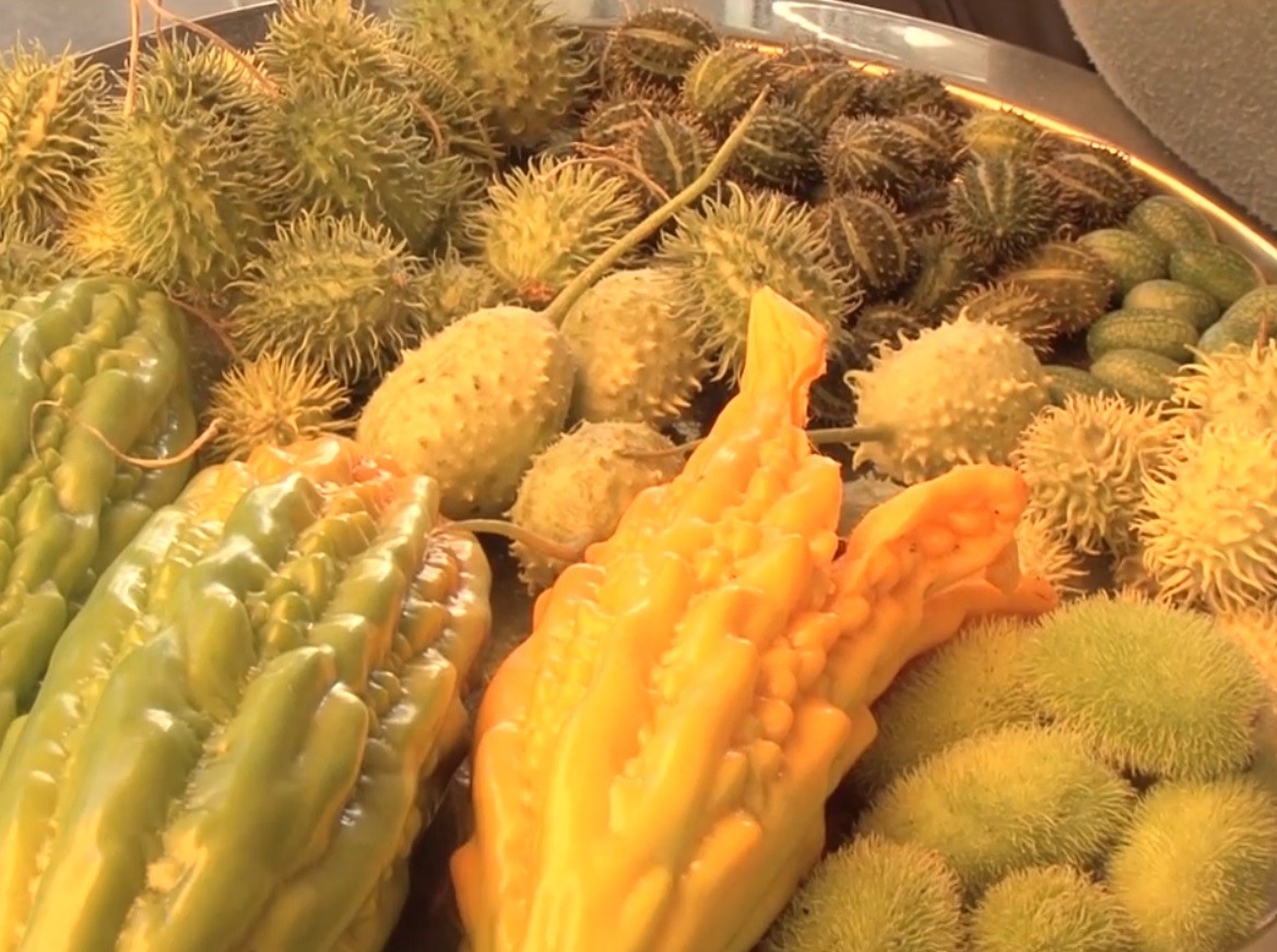 Doi soţi din judeţul Satu Mare au reuşit să obţină o recoltă minunată ...