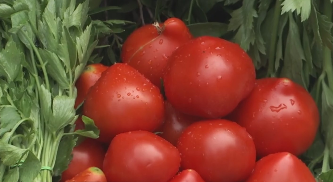 Sute de fermieri români vor să facă agricultură bio. Care sunt avantajele