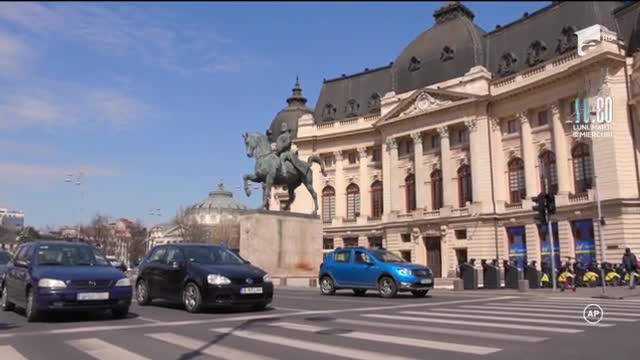 Chow Chow, cainele-leu cu limba albastra | Antena 1