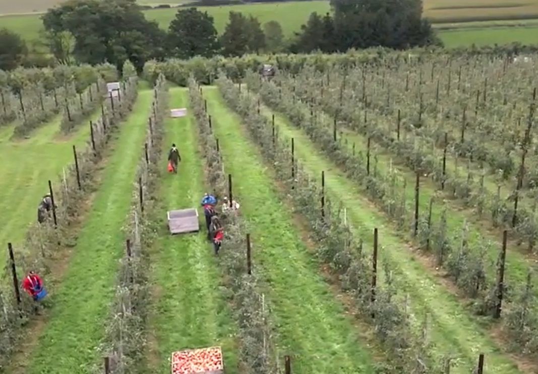 Români, "sclavi moderni" în Belgia: Oamenii nu au fost plătiţi pentru ...