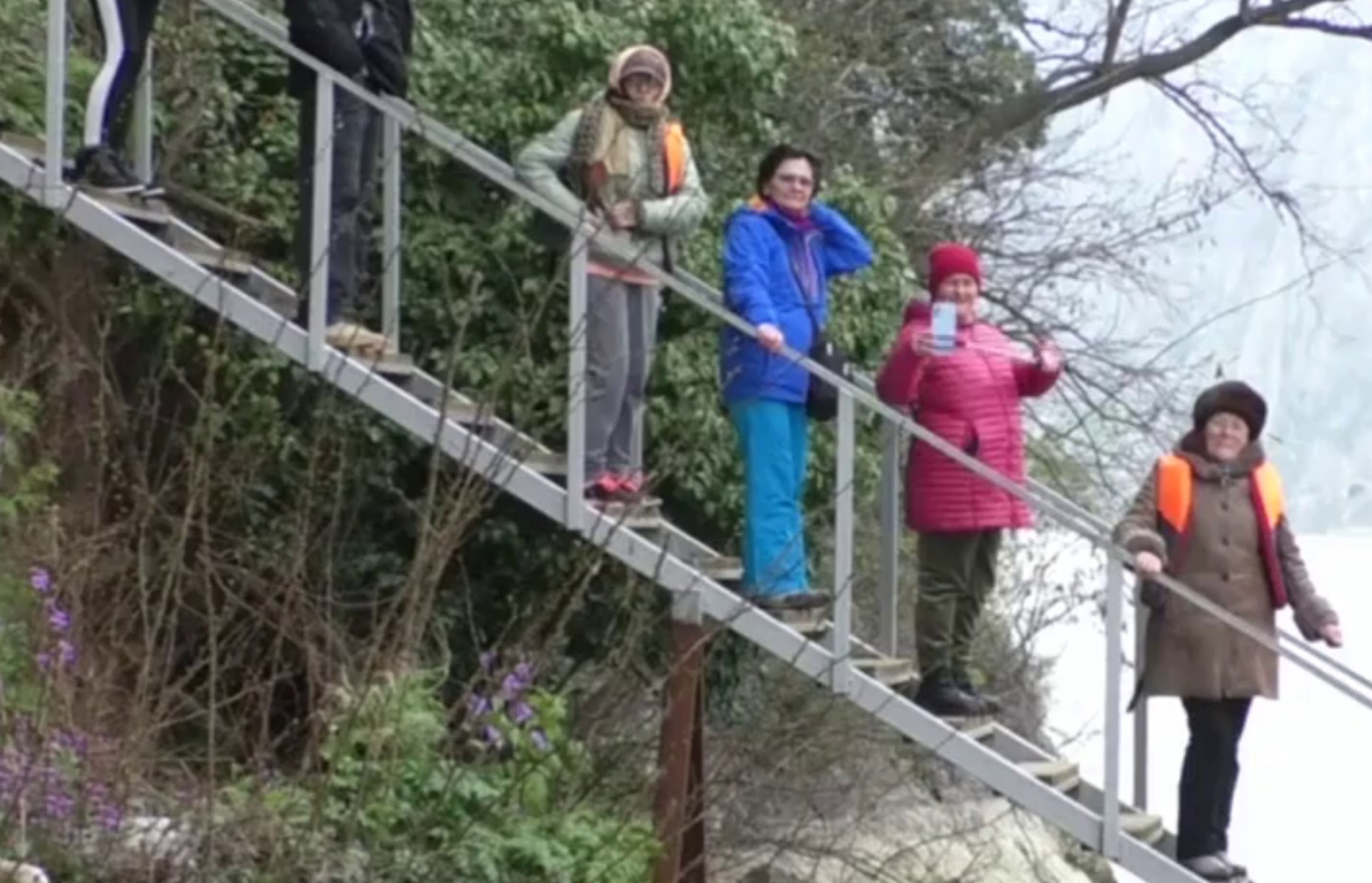 Floarea unică în lume care creşte din piatră, în România. Turiştii bat ...