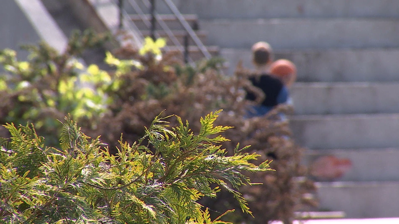 Ce se poate ascunde în spatele energiei debordante a unui copil ...