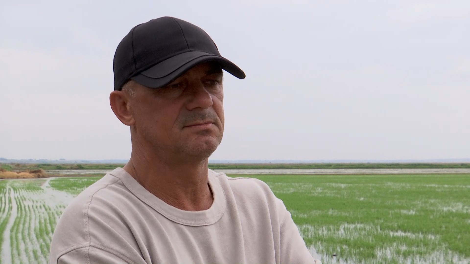 Fermierul român care a investit milioane de euro într-o cultură ...