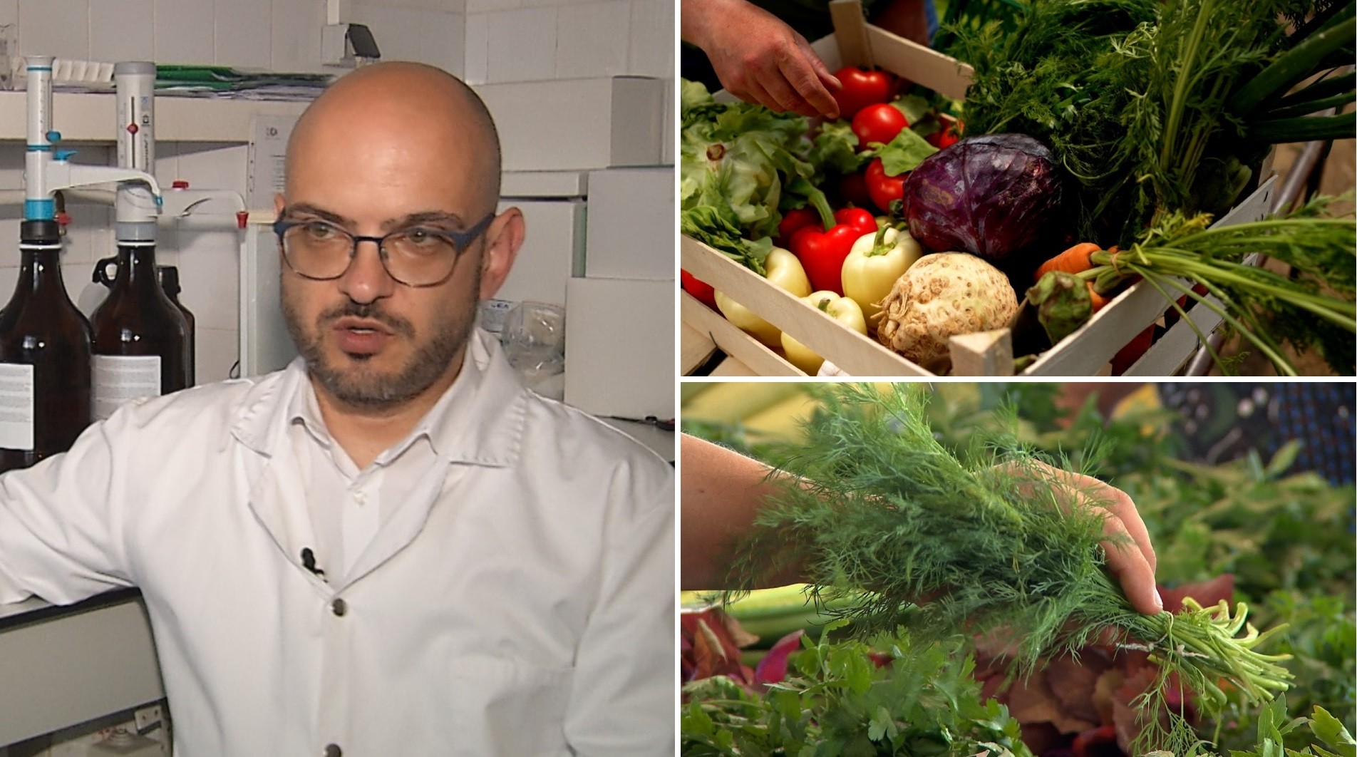 Experiment Observator. Cât de multe pesticide au, de fapt, verdețurile ...