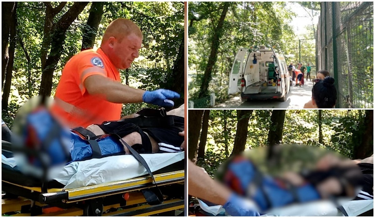 Un bărbat a fost muşcat de tigru la zoo, în Bârlad. A băgat piciorul ...