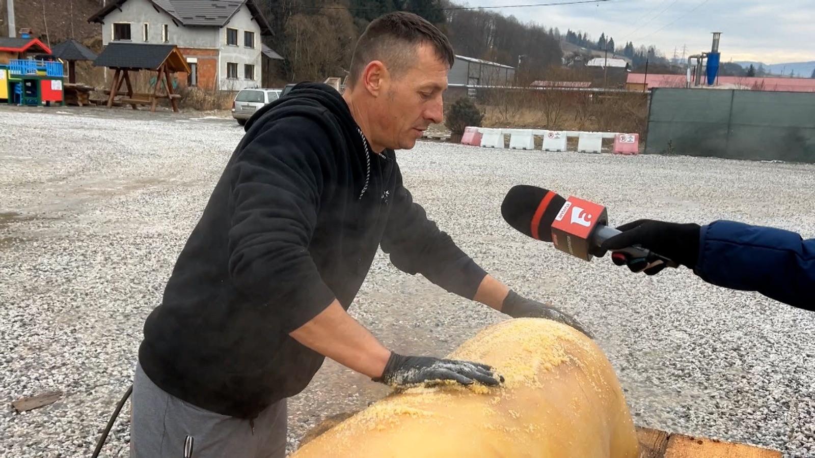 Ignatul, tradiții și obiceiuri. De ce este bine ca porcul să fie adus ...