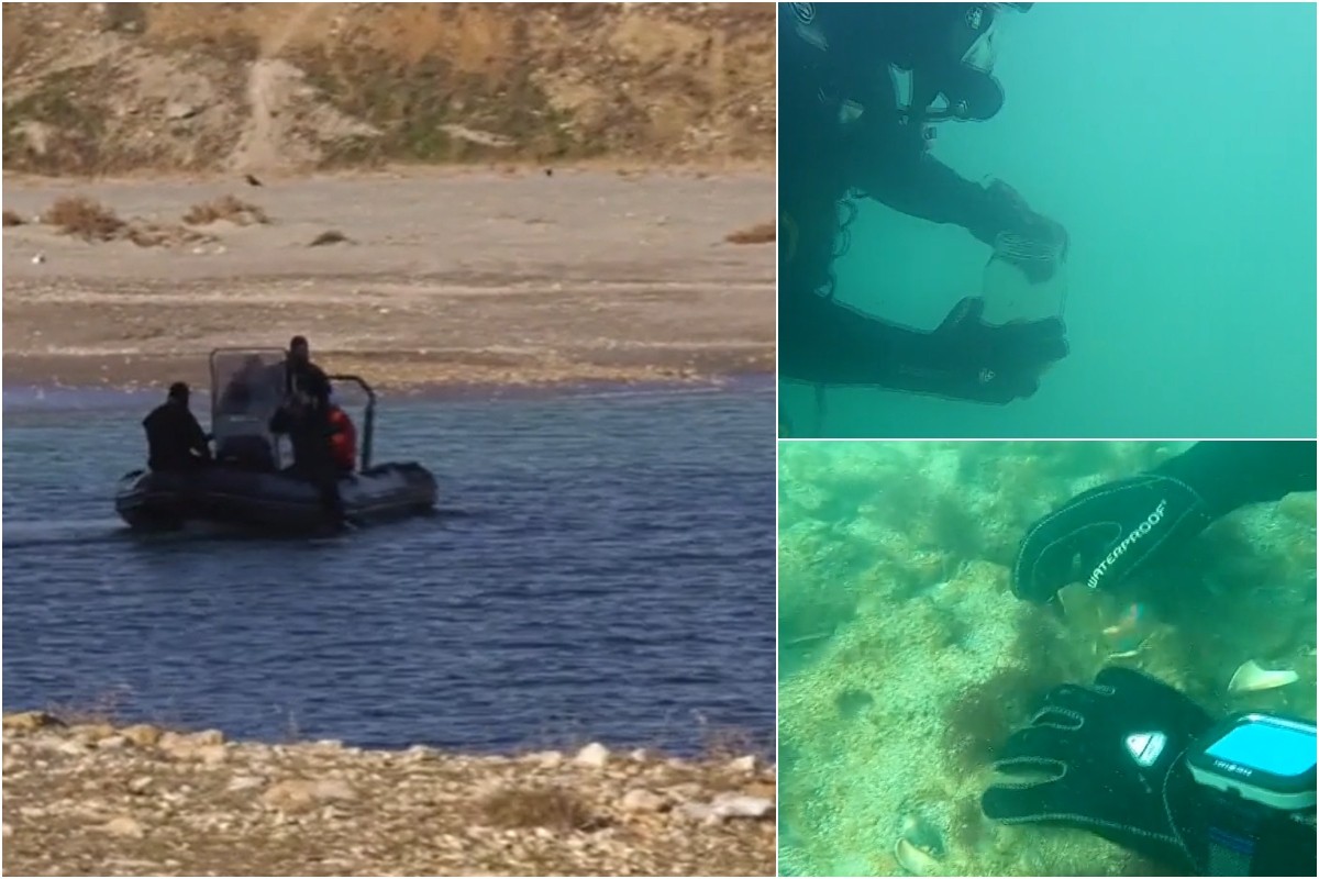 Planta pe cale de dispariţie care va fi readusă pe litoralul Mării ...