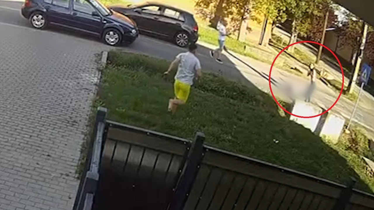 Accident mortal filmat pe trecere, în Timiş. O bătrânică a fost spulberată şi aruncată zeci de ...