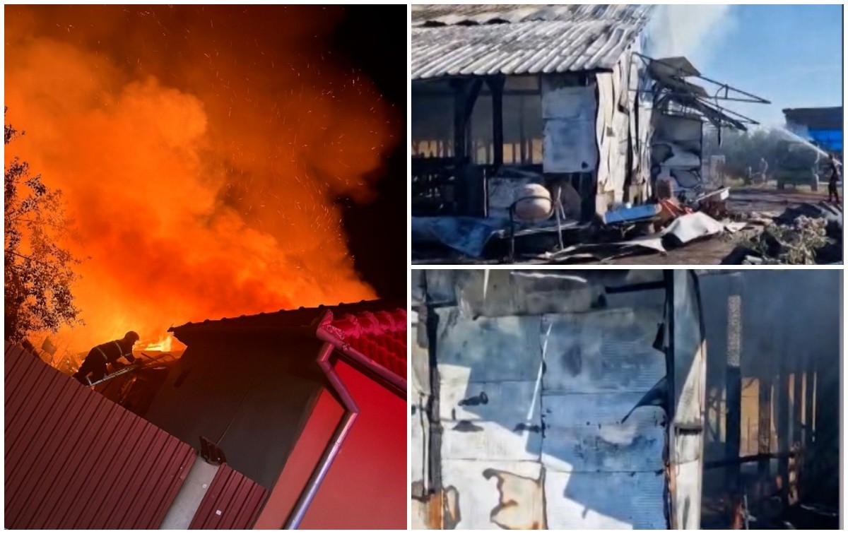 Animale arse de vii, după ce un incendiu violent a izbucnit la un ...