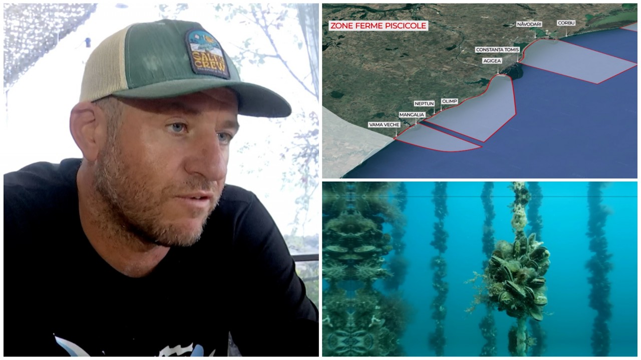 Primele ferme de scoici din România. Investitorii se bat în oferte ...