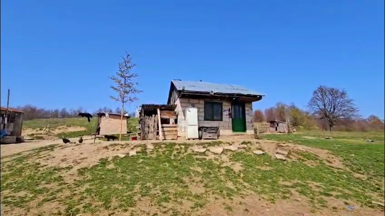 Un copil de 3 ani a murit după ce a înghițit o substanță toxică pentru ...