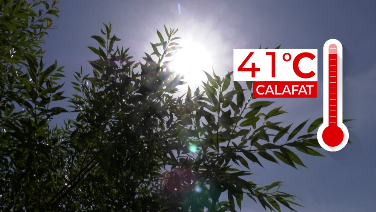Temperaturi de 41 de grade aduse de codul galben de caniculă. Urmează ...
