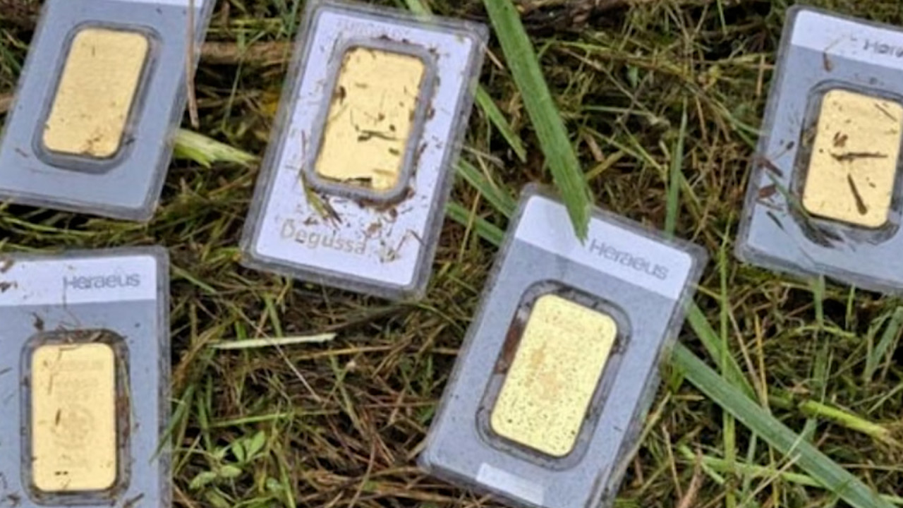 Un german a descoperit o comoară în timp ce tundea iarba: 10 lingouri ...